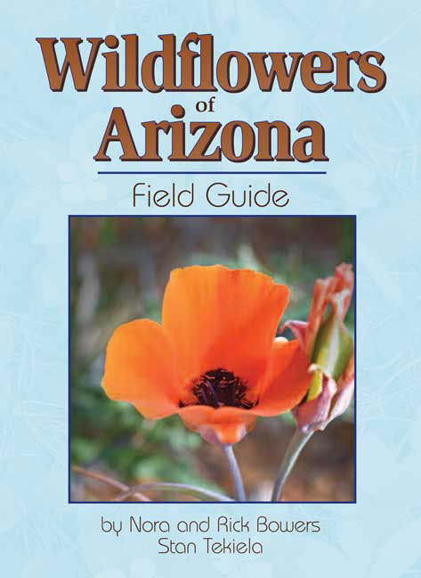 Wildflowers Arizona FG