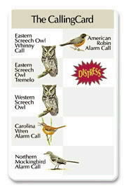 Birdsong Identiflyer The Calling Card Songcard