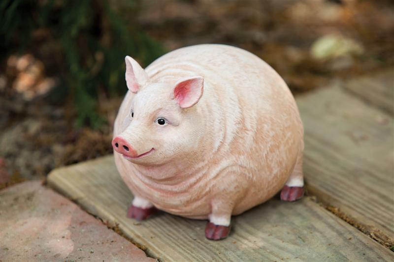 Pig Portly Medium