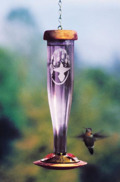 Schrodt Designs Amethyst Etched Hummingbird Lantern